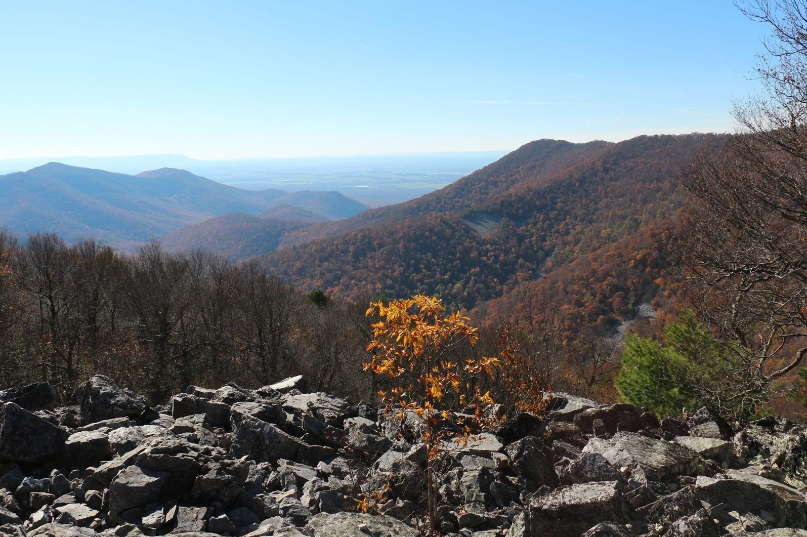 50 States in 50 Days: Day 13 Virginia – Globetrotting Grandpa